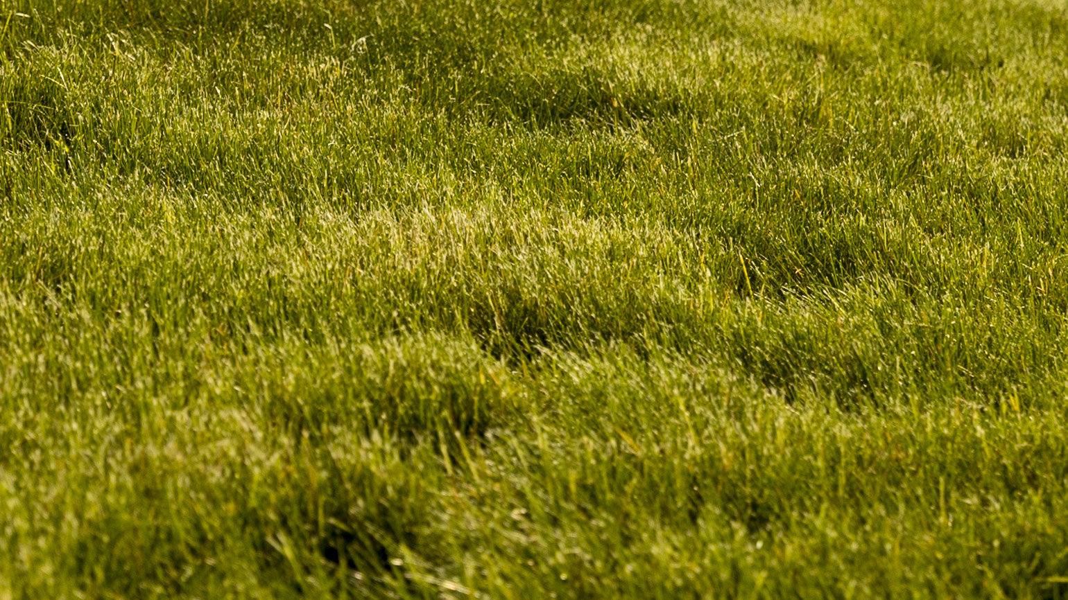 Know Your Turf