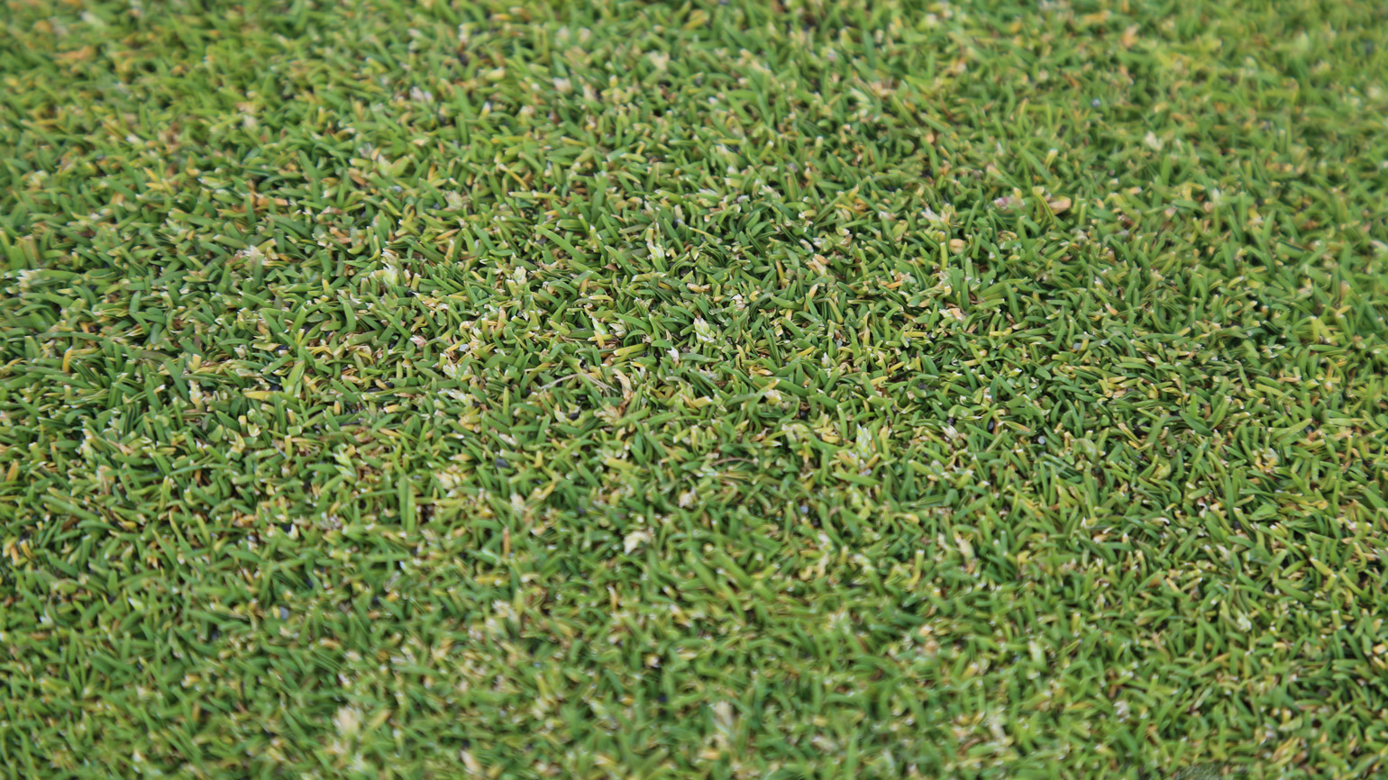 Know Your Turf