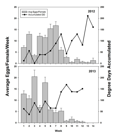 When Do Annual Bluegrass Weevils Emerge in the Spring?